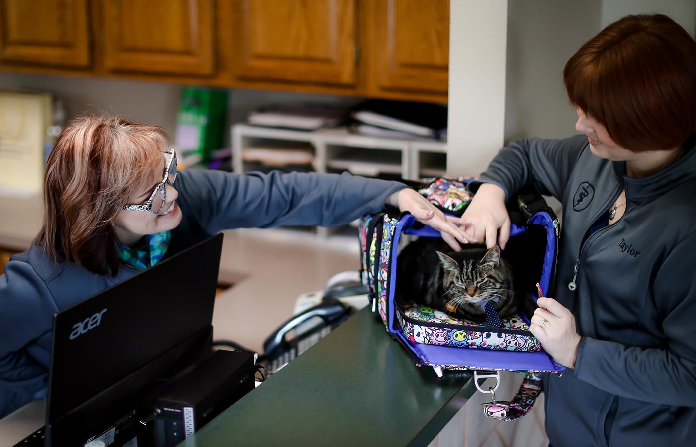 Veterinarian in Plano | Vet Near You | High Point Animal Clinic